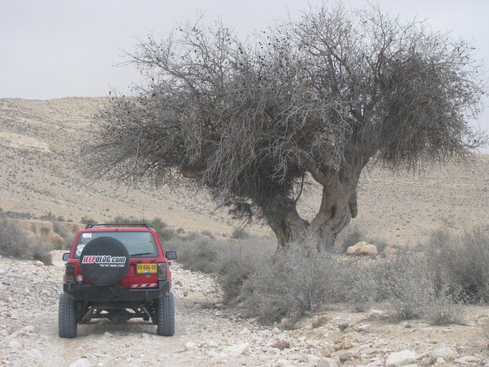 מסע מעבדת למצפה כוכבים...